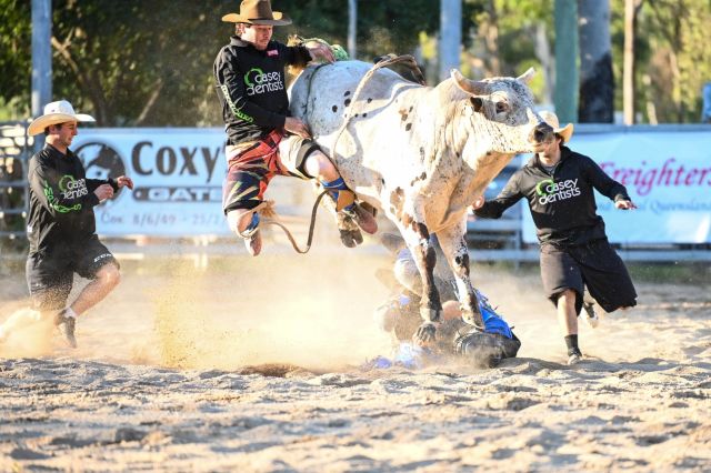 Rodeo - Bartlett Park