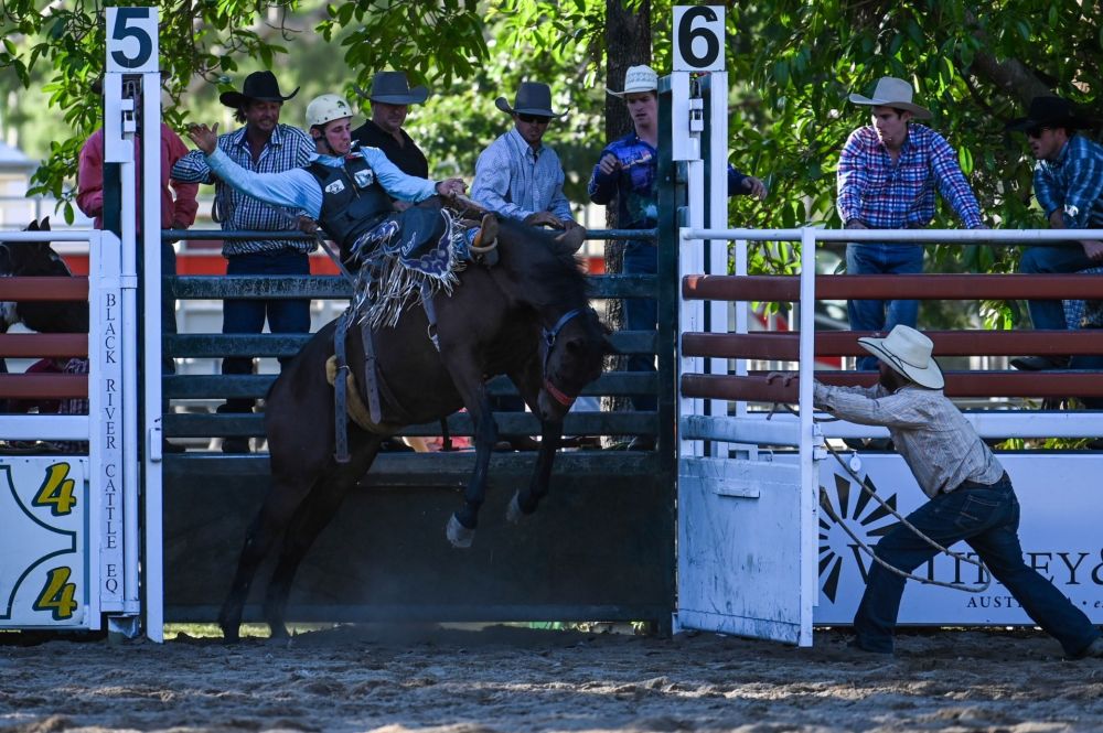Rodeo - Bartlett Park